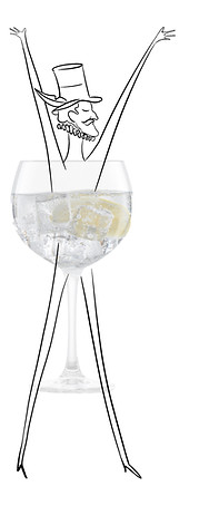 Gins Grand Nez Spirits