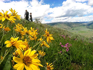 Yellowstone Guided Tours - Yellowstone Guides