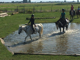 Gallery | Kaizen Farm