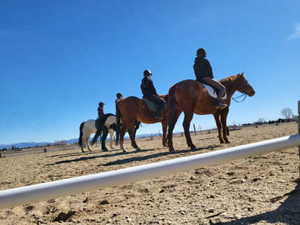 Gallery | Kaizen Farm