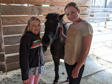Gallery | Kaizen Farm