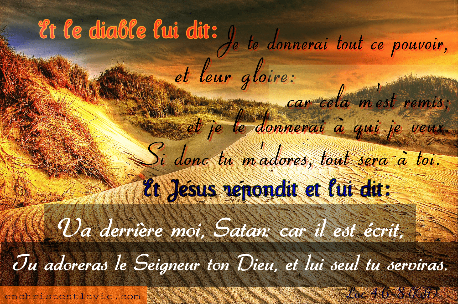 Proverbes Bible - En Christ est la Vie