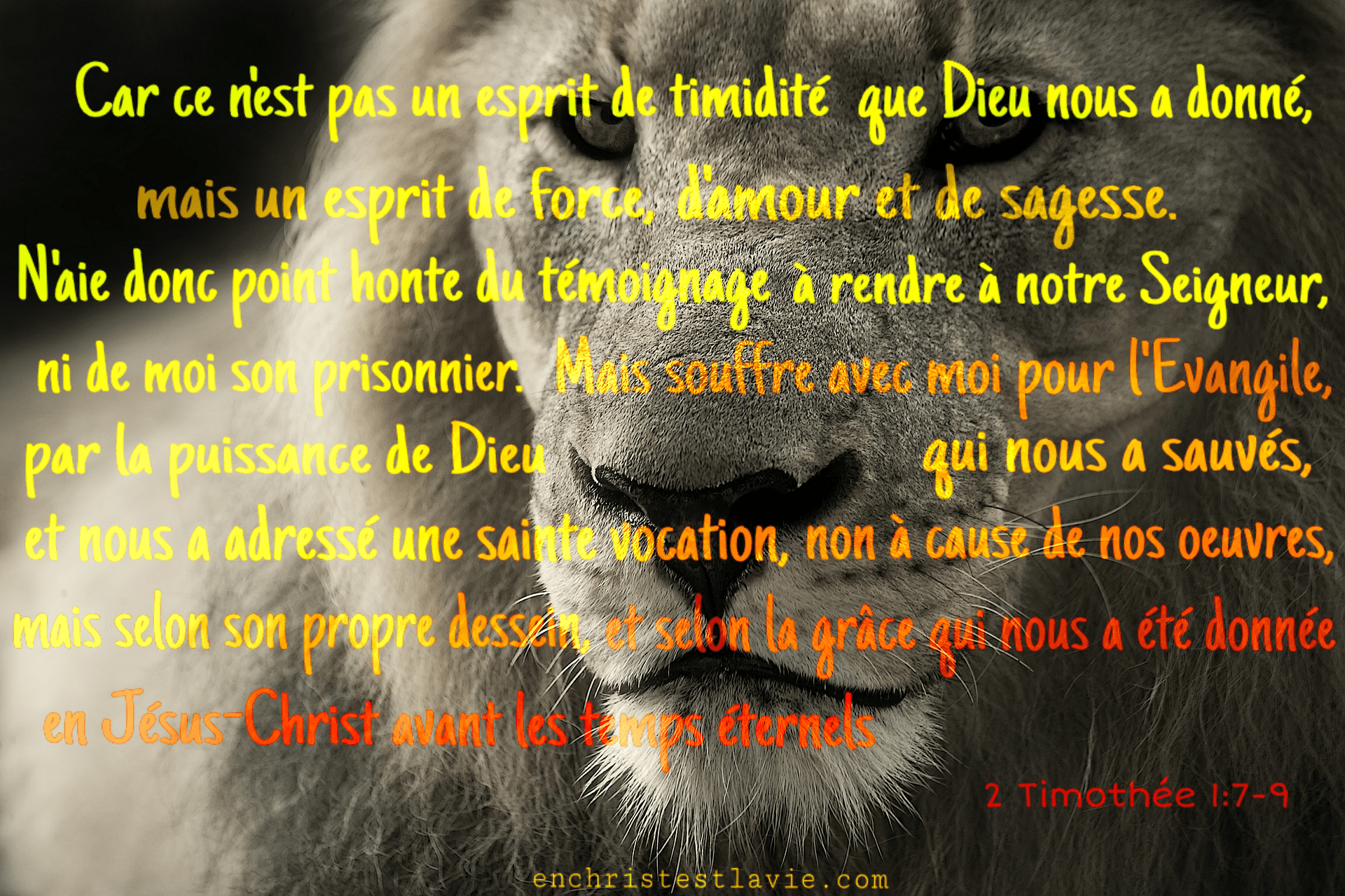 Proverbes Bible - En Christ est la Vie