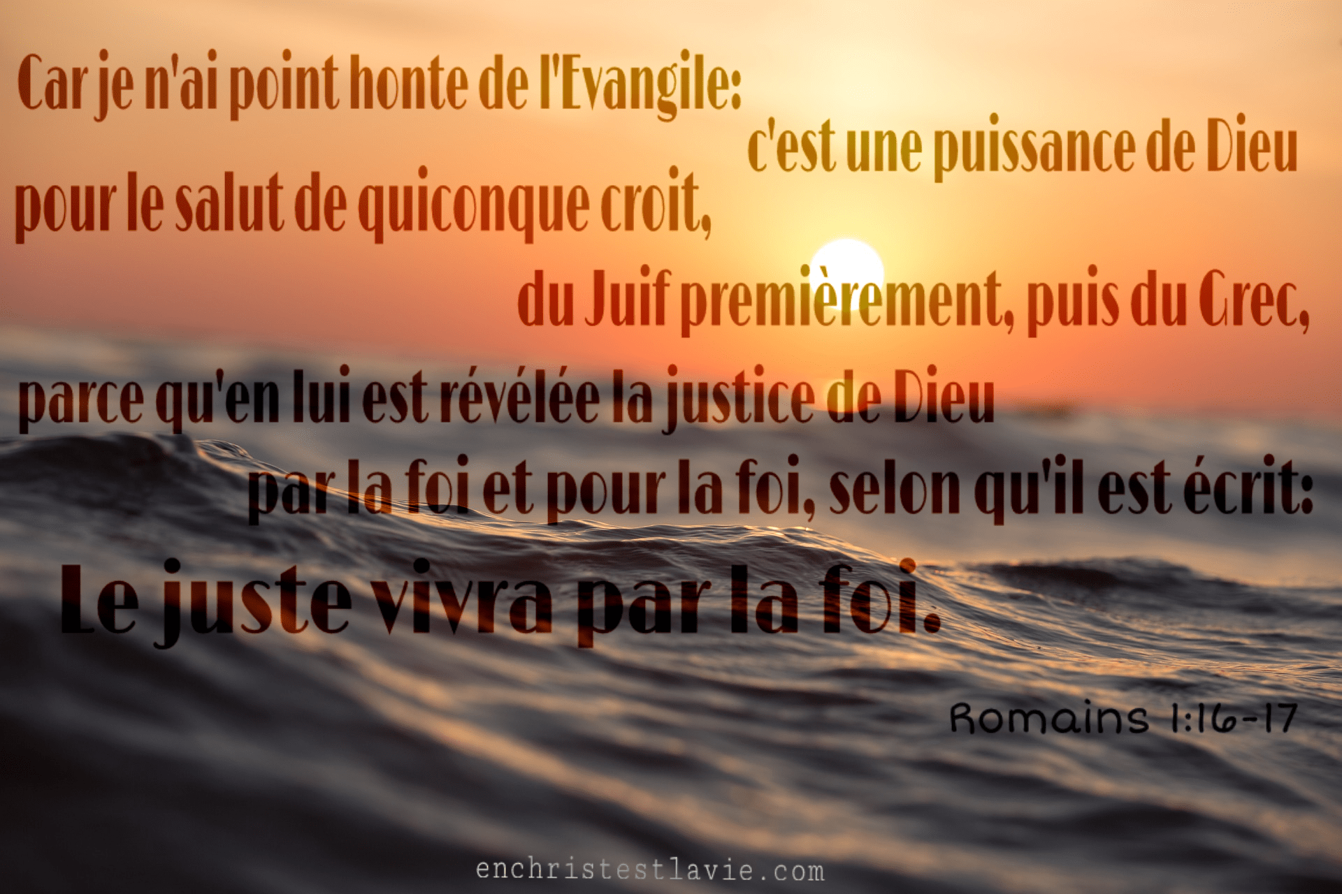 Proverbes Bible - En Christ est la Vie