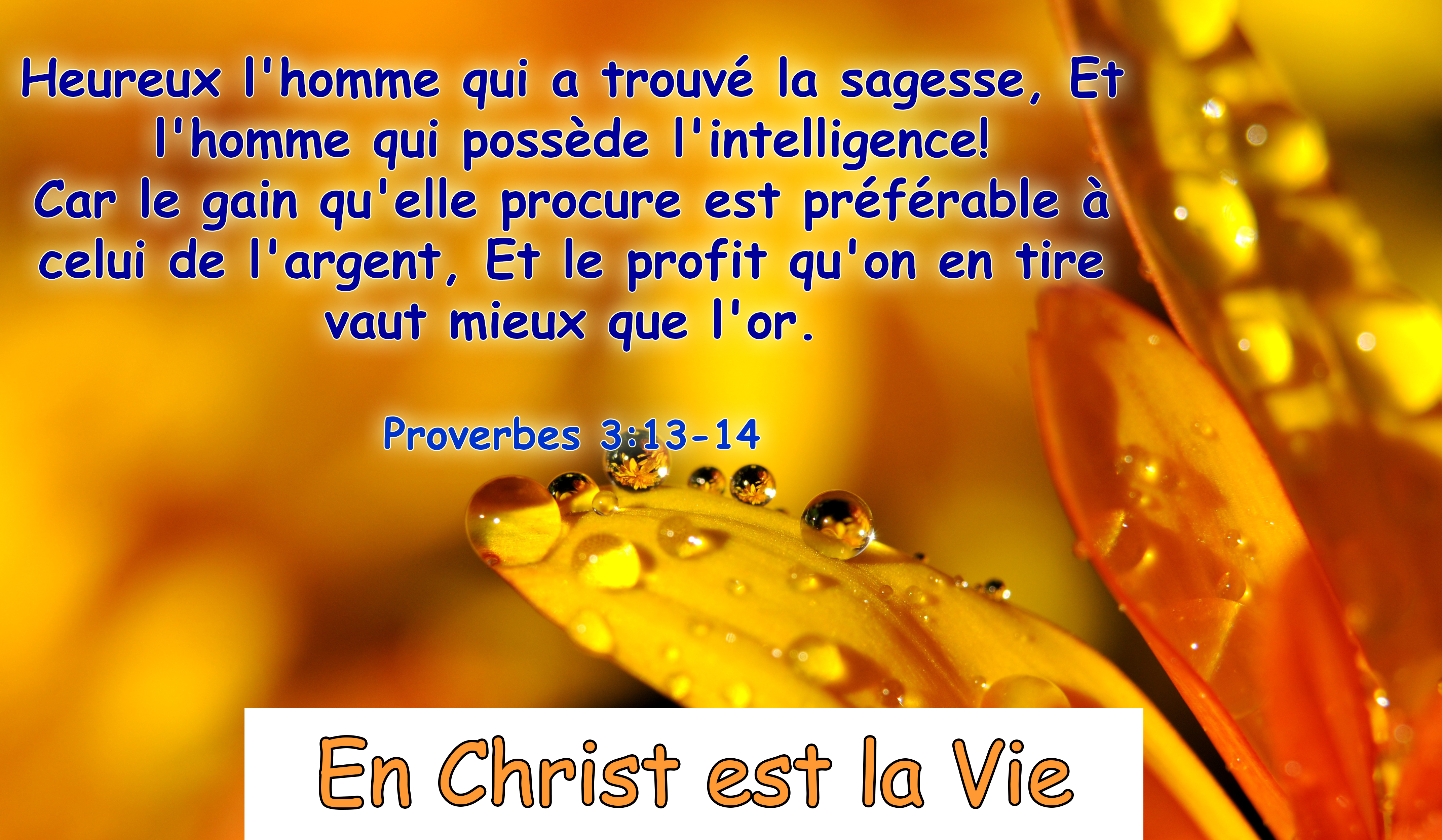 Proverbes Bible - En Christ est la Vie