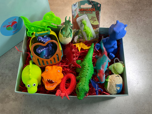 Extra Large Dinosaur Themed Sensory Box | alissensoryboxes