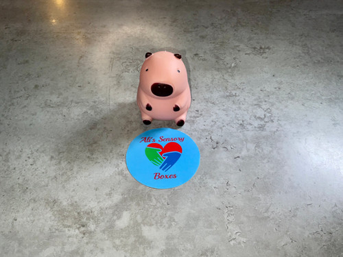 Capybara Squishy | alissensoryboxes