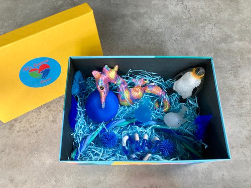 Sea Life Themed Medium Sensory Box | alissensoryboxes