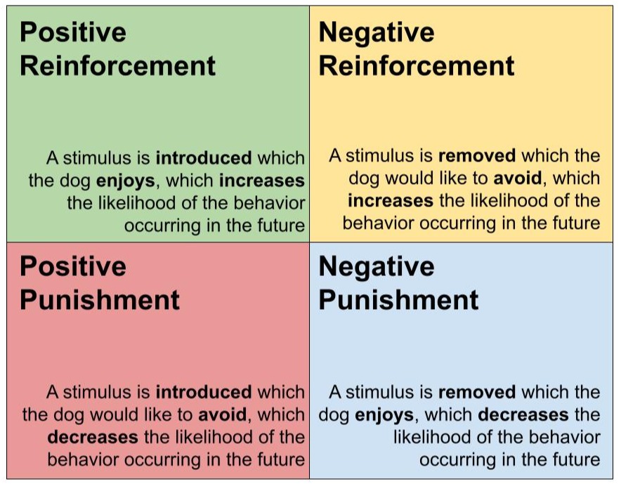 Why your dog loves their prong collar