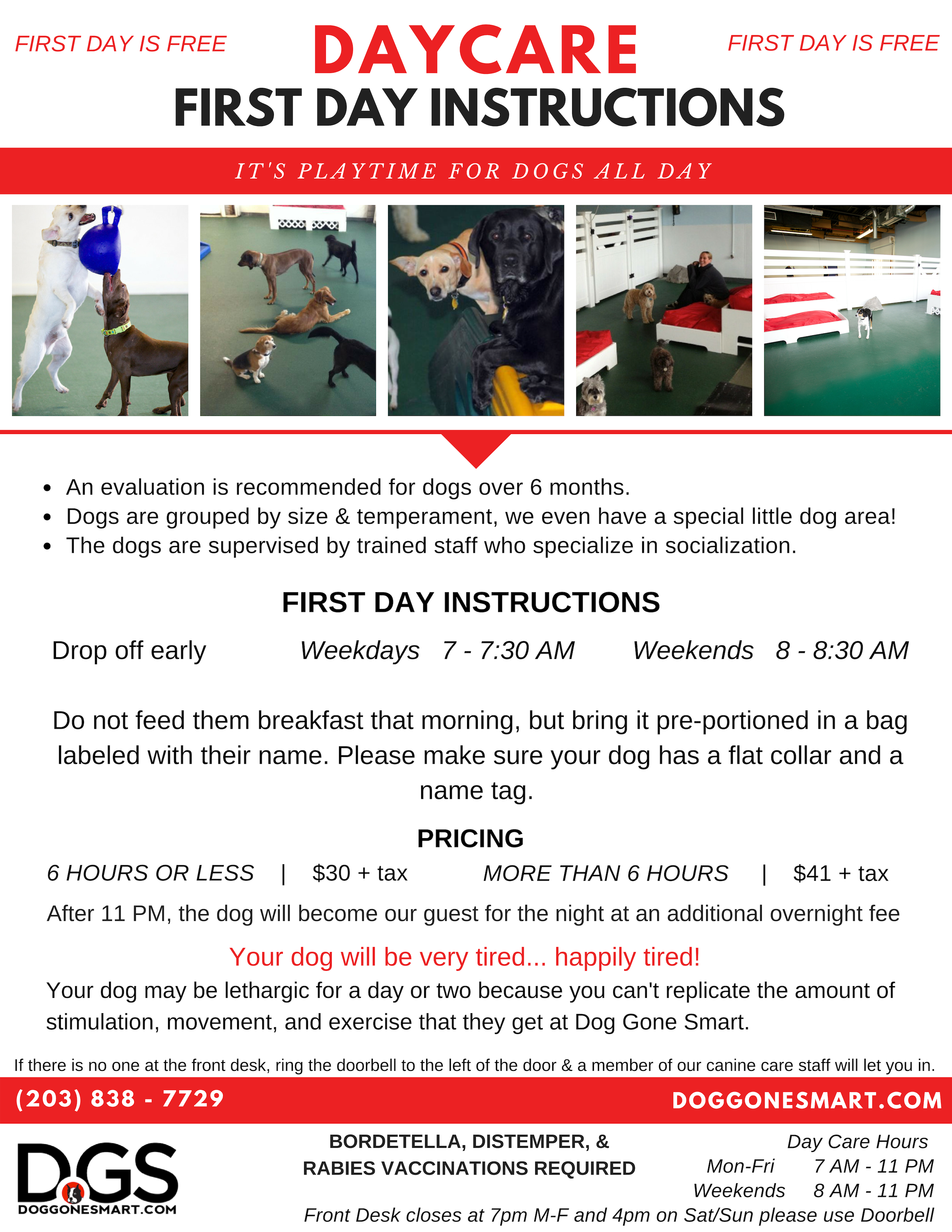 Dog Gone Smart | Day Care