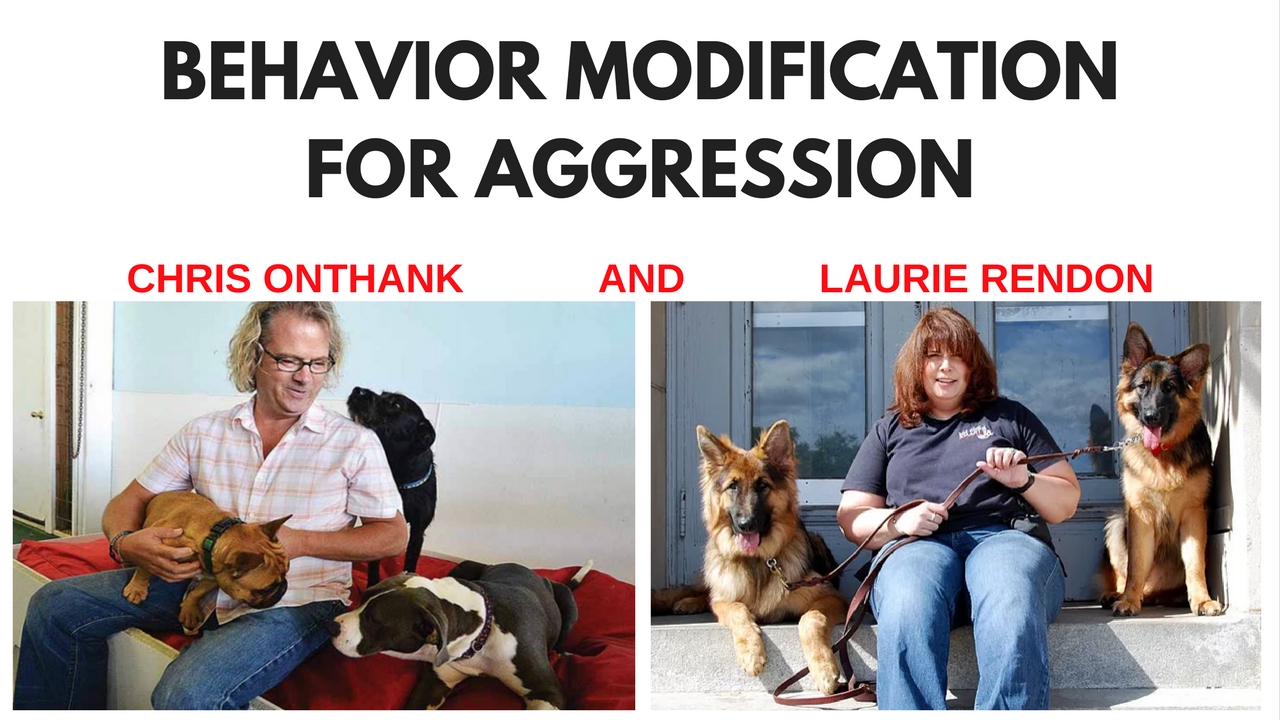 Dog Gone Smart | About Us