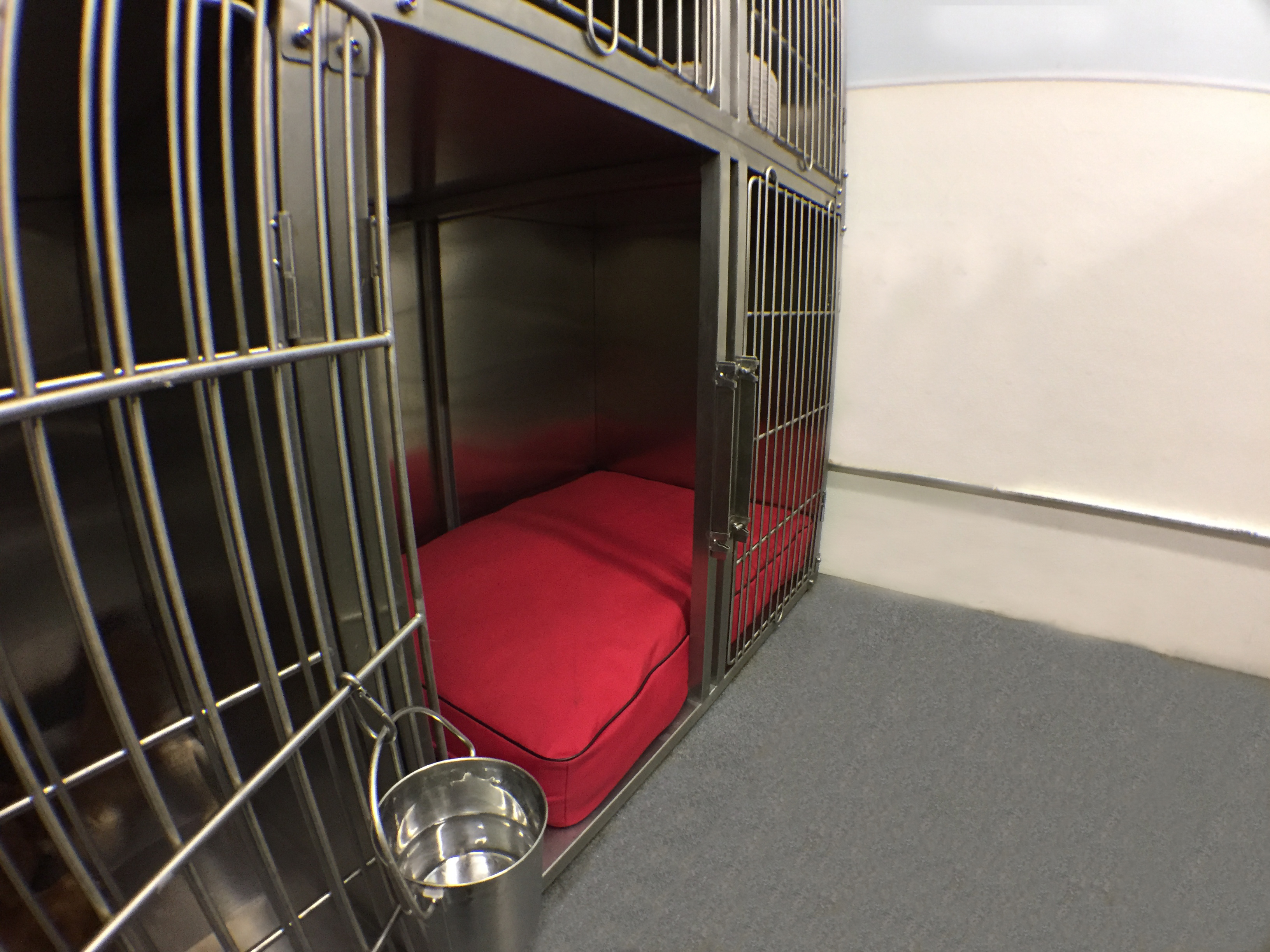 Dog Gone Smart | Boarding