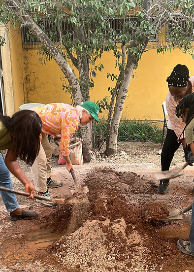 Workshops | Hive Earth