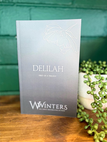 42 Delilah #1 by Willow Winters Discreet Paperback | Books Ever After