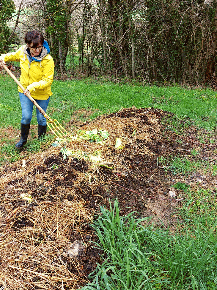Vers de compost | Achat