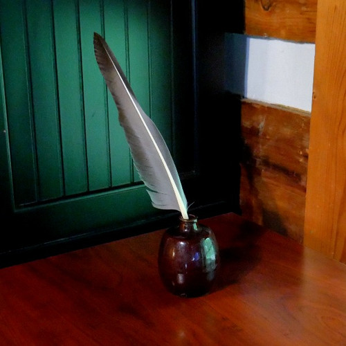 Goose Quill Pens | Tanawha Trading Post