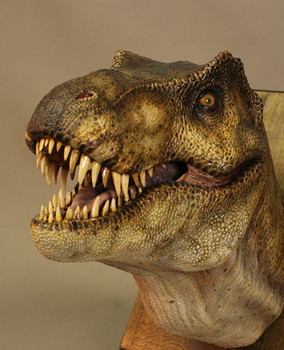 PORTFOLIO | Magee FX Inc.