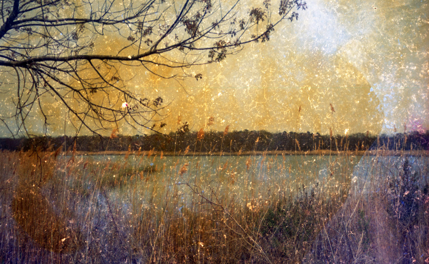 Brandon Seidler by Cara McCarthy