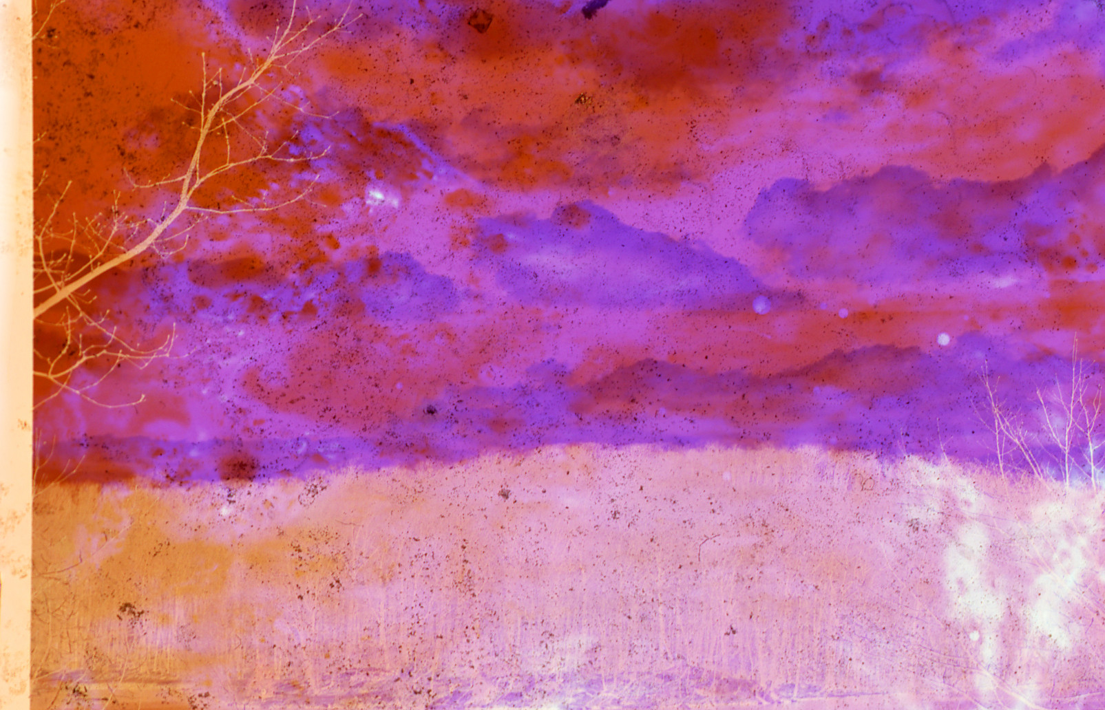 Brandon Seidler by Cara McCarthy