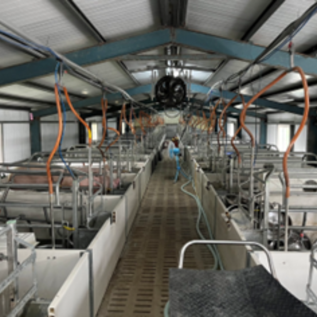 Innovative Pig Farming - Air Quality Monitoring System in Smart Pig Farms