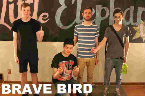 Brave Bird Session Vinyl | Little Elephant Live