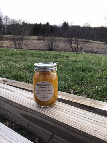 Sunshine Pickle-Pint | Hudak Farm