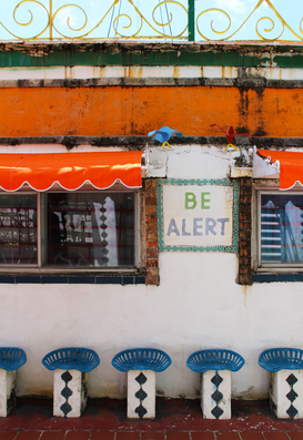 The Orange Show - Houston's Folk Art Landmark