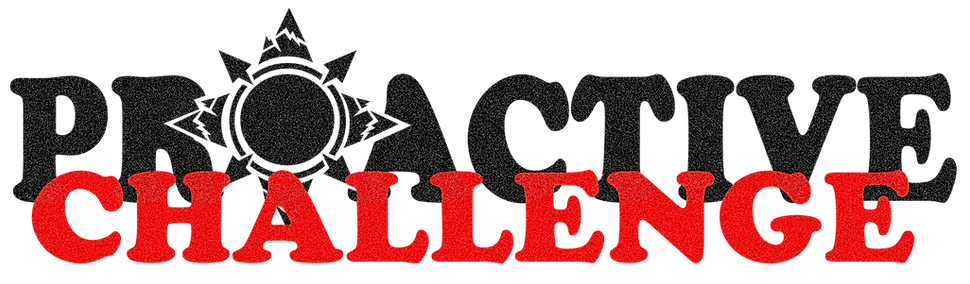 CHALLENGE CHEAT SHEET | proactive