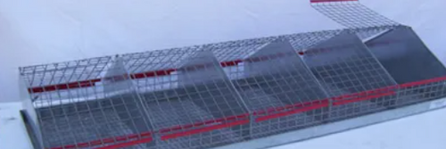 Judging Coops | Fry Equipment