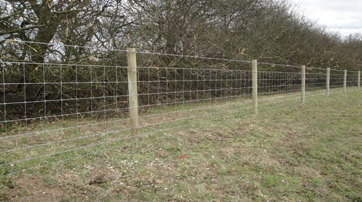 GALLERY | rainworthfencing