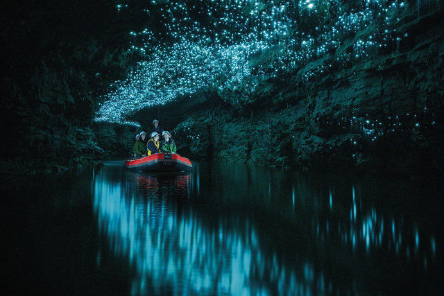 La grotte aux vers luisants de Waitomo en Nouvelle-Zélande