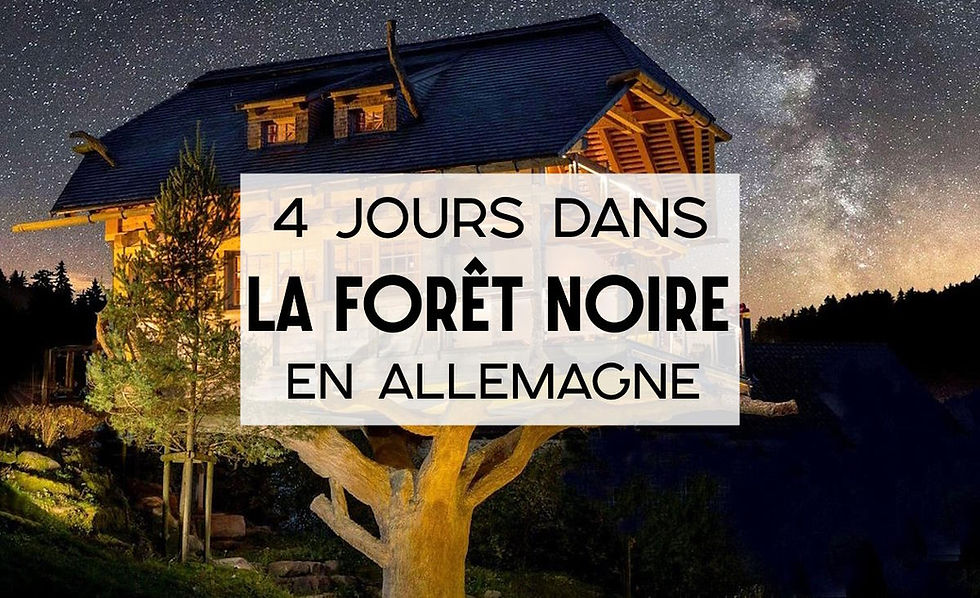 Séjour dans la Forêt Noire, Allemagne