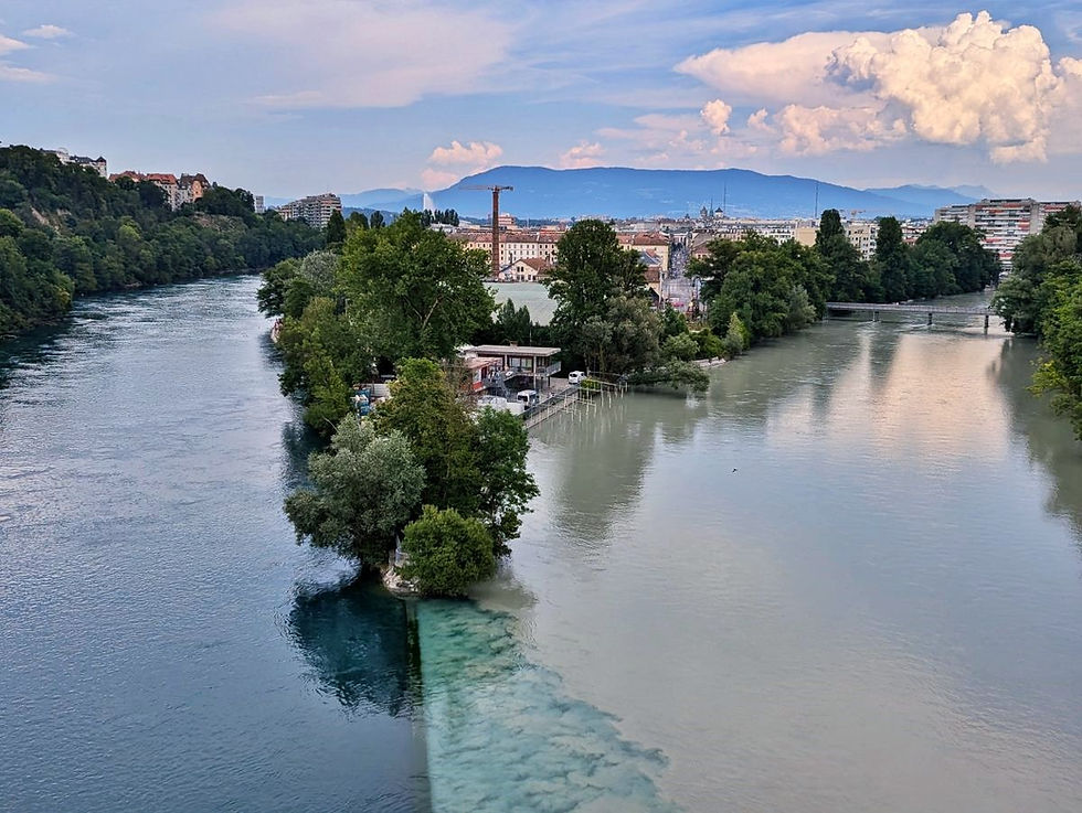 La Pointe de la Jonction à Genève en Suisse