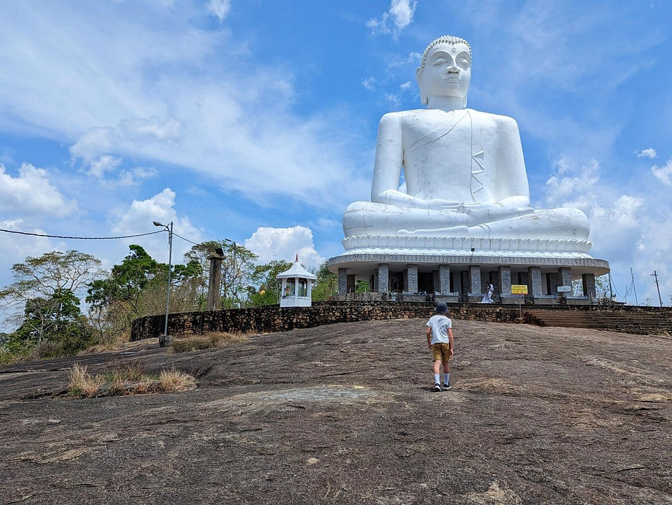 Sri Lanka Itinéraire de 15 jours