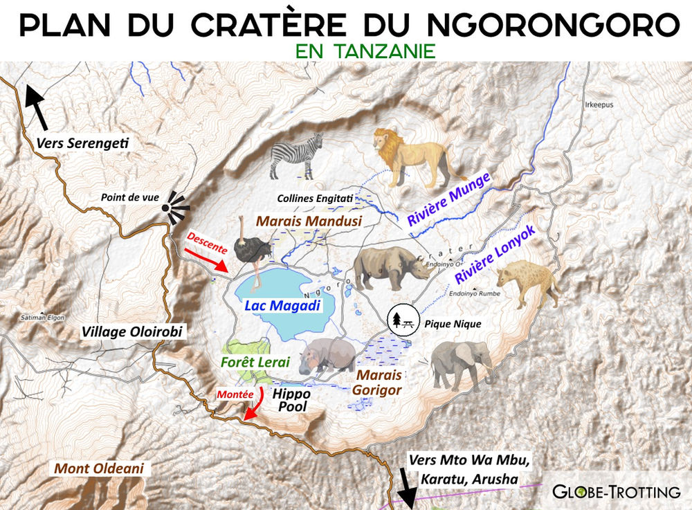 Le cratère du Ngorongoro en Tanzanie