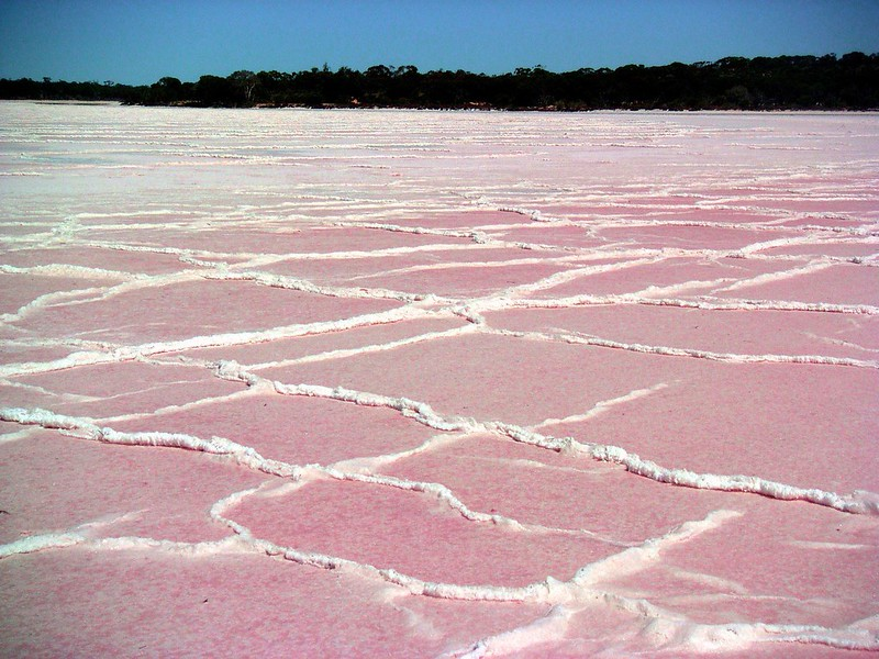 Le Lac Hillier (Le Lac Rose) de Middle Island en Australie