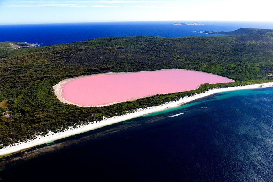 Le Lac Hillier (Le Lac Rose) de Middle Island en Australie
