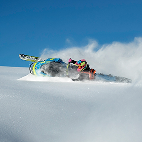 HOME | The Shock Shop