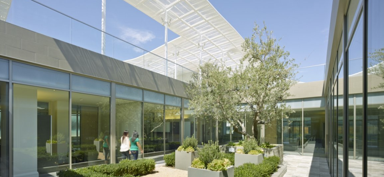 Landscape Architecture Studio | Design Studio Ma | Los Angeles