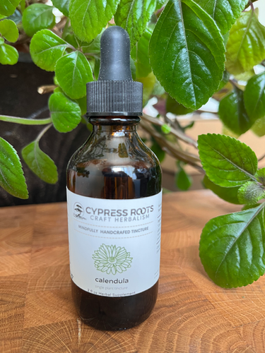 Calendula Tincture | Cypress Roots