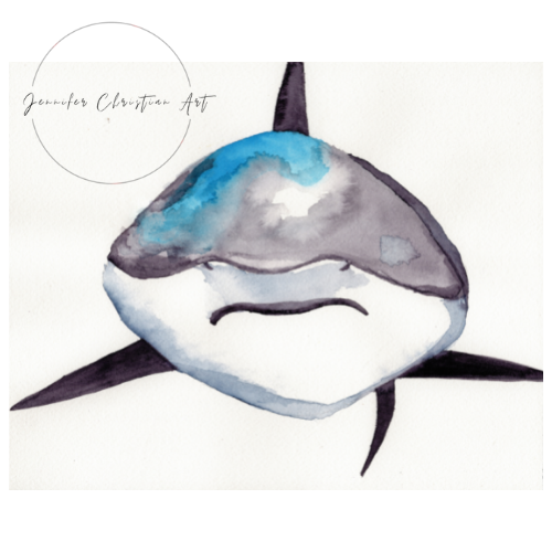 Shark Forward Facing | Jennifer Christian