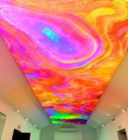 Flash Display products