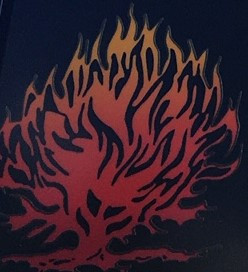 Burning Bush Missionary Baptist Church | Christ Like Church | 915 ...