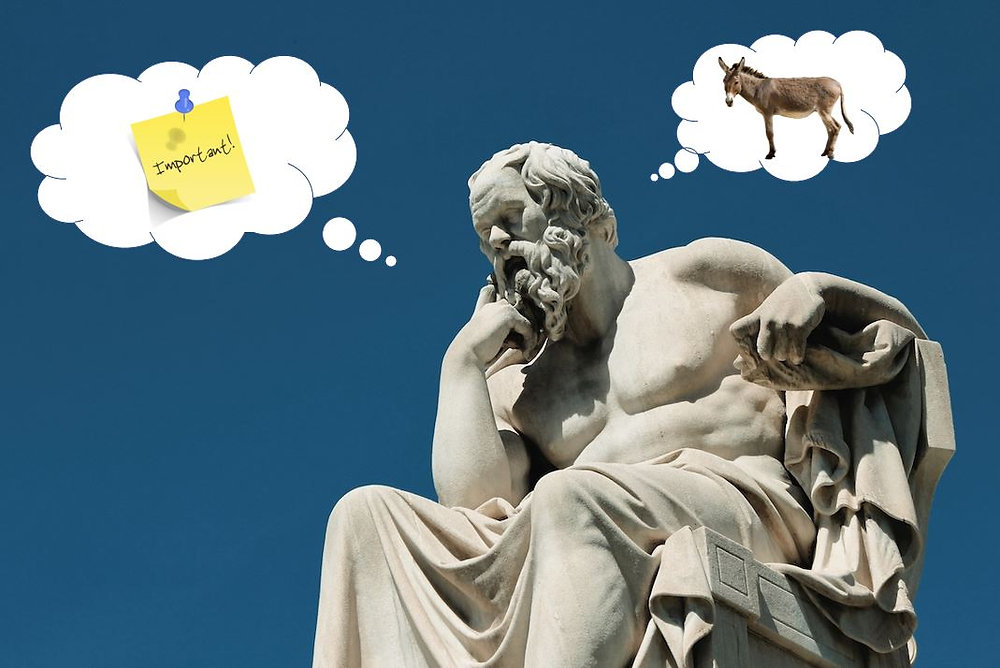 Socrates' Donkey Story