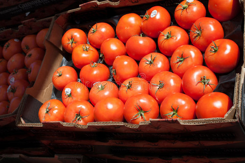 Flats of Ontario Field Tomatoes | Sarnia Produce