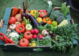 Mega Produce Box | Sarnia Produce
