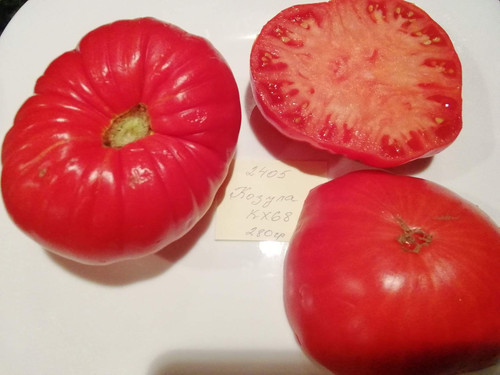 2405 -Kozula KX68 / Козула КХ68 | Tomatoeden