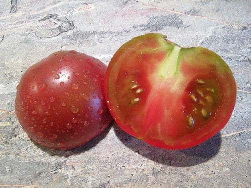 3591 - Chloe + Gindys West Virginia / Хлоя+ Джиндис Западная Вирджиния ...