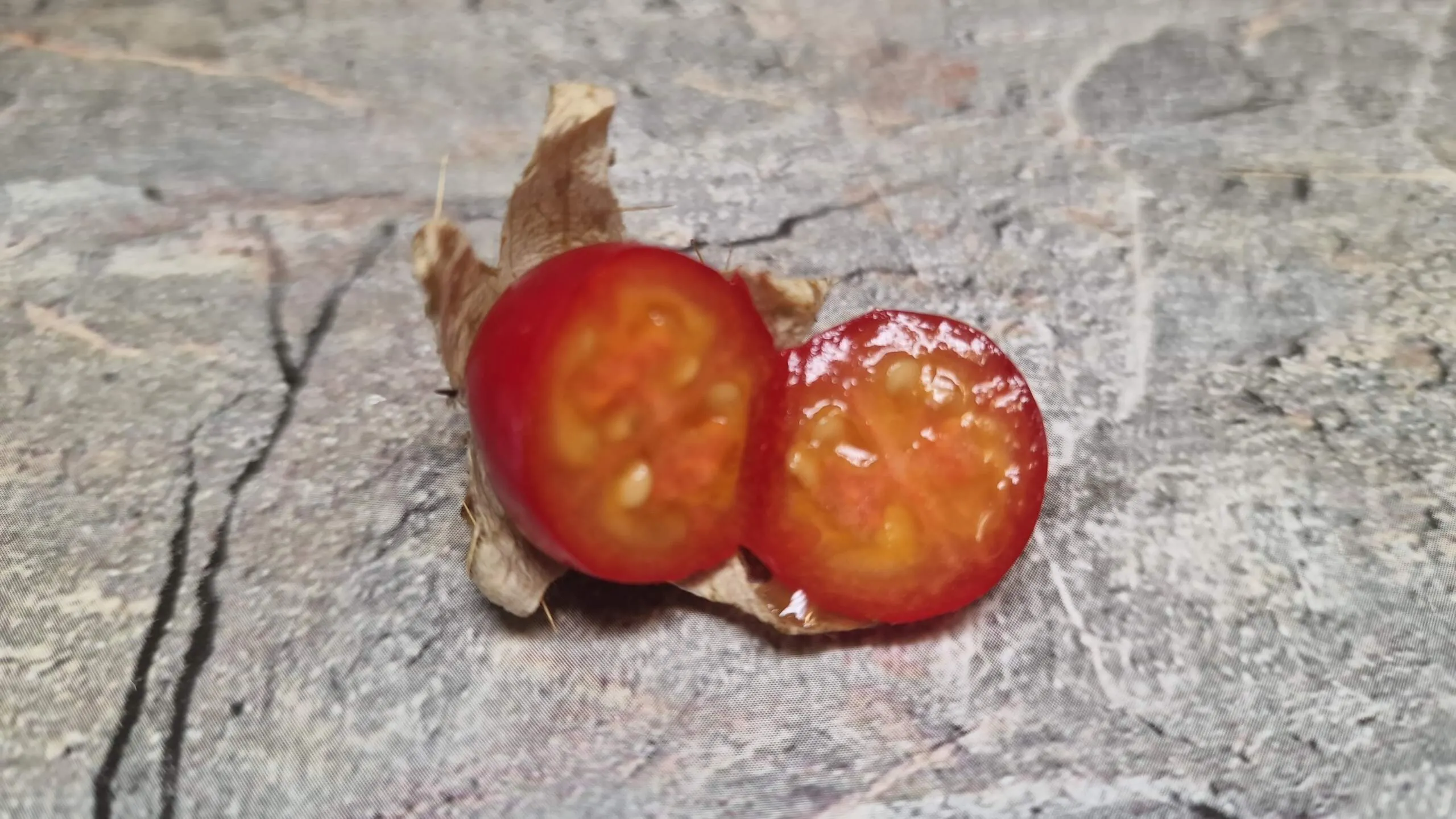 1132 - Litchy tomato / Томат Личи | Tomatoeden