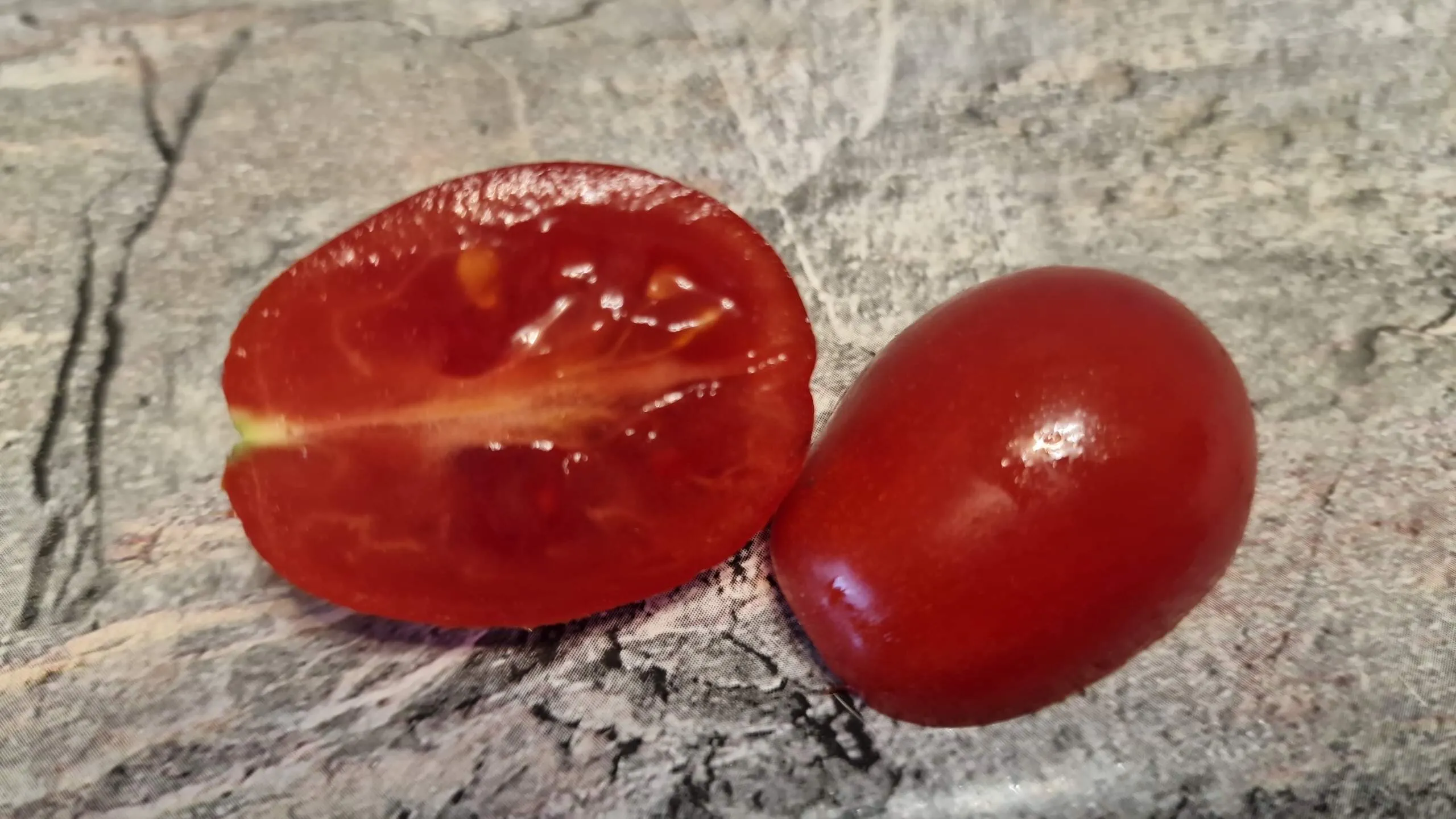 4693 - Kozula 14 1-1 / Козула 14 1-1 | Tomatoeden